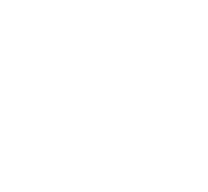 Our Brands - Impex Ltd.